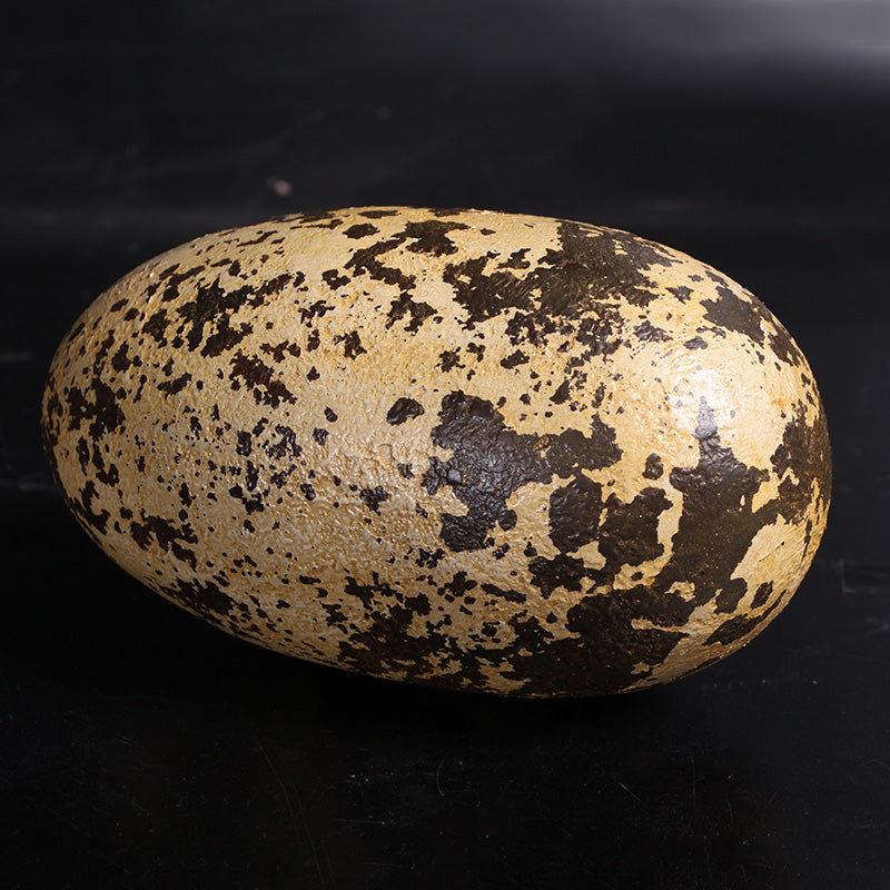 Dinosaurs - Statues – WinterlandInc