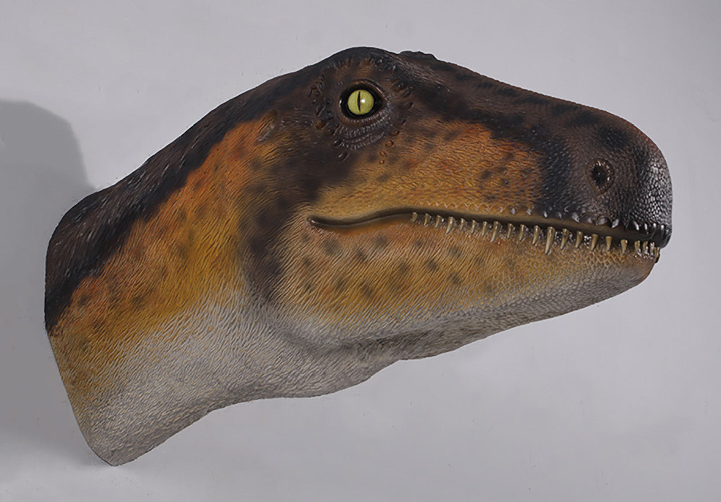Theropod Head Wall Mount – WinterlandInc