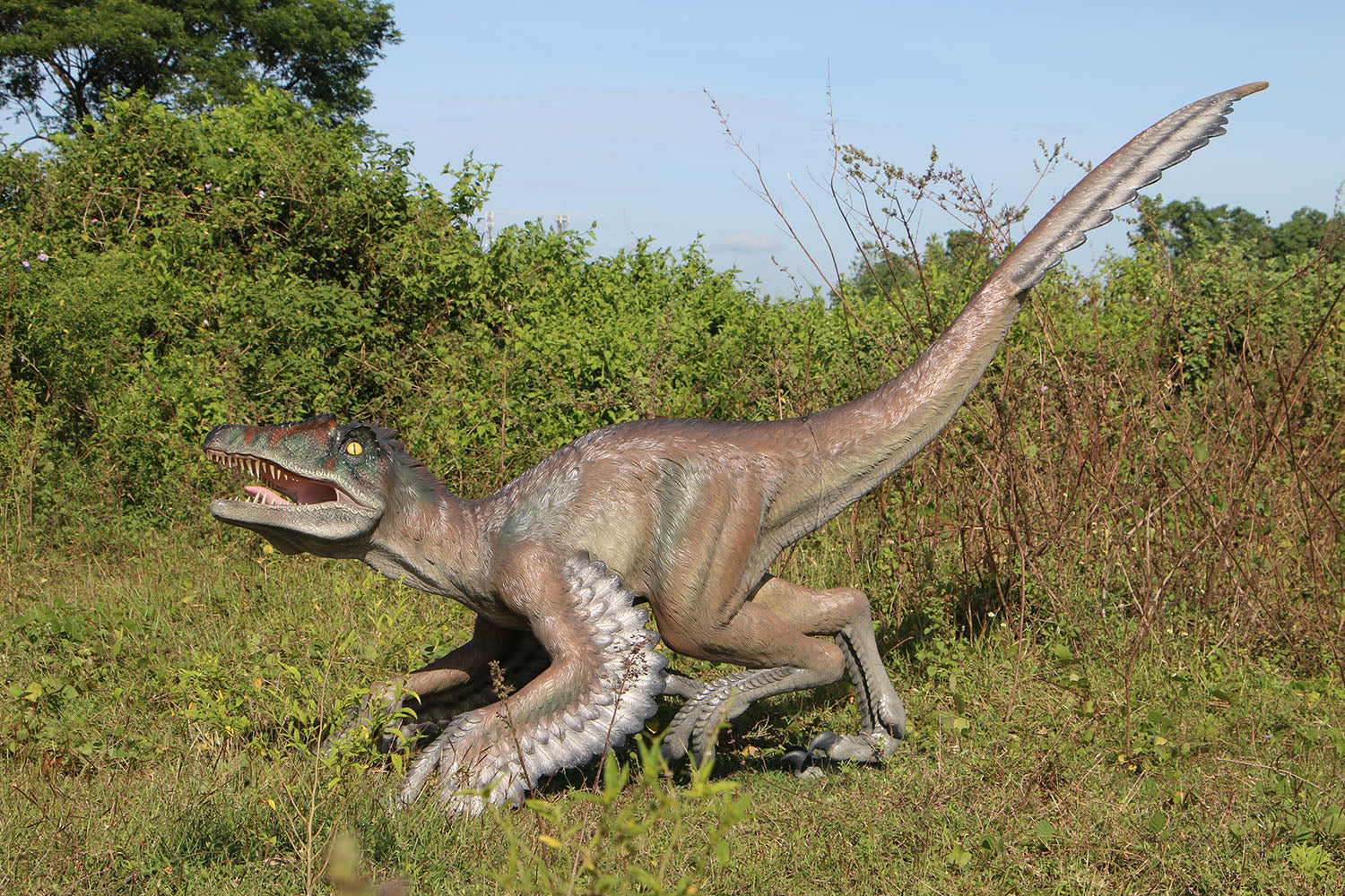 Dinosaurs - Statues – WinterlandInc